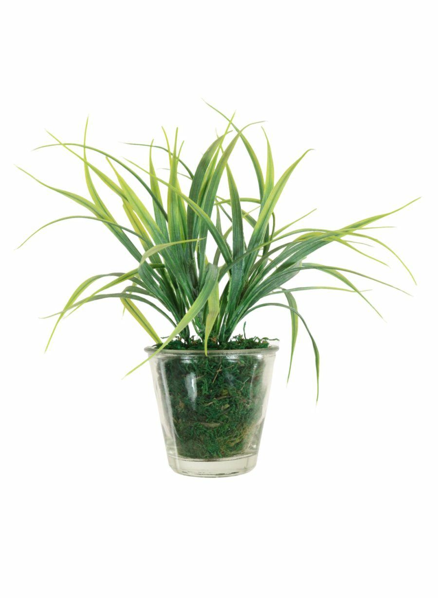Mini Potted Grass Arrangement Green - HiC Stornoway